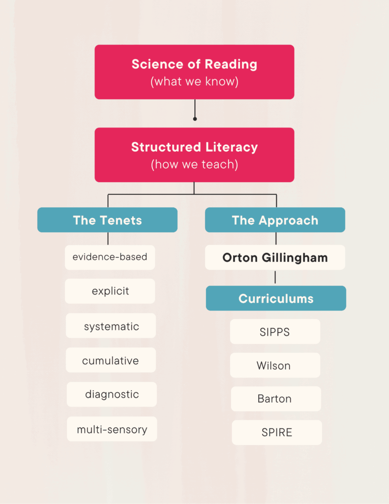 Terms you should know about the Science of Reading - Strategies for ...